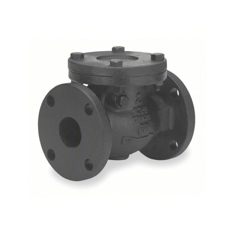 Válvula Check Bridada Flow Mex 150 LBS – Ecuacomex